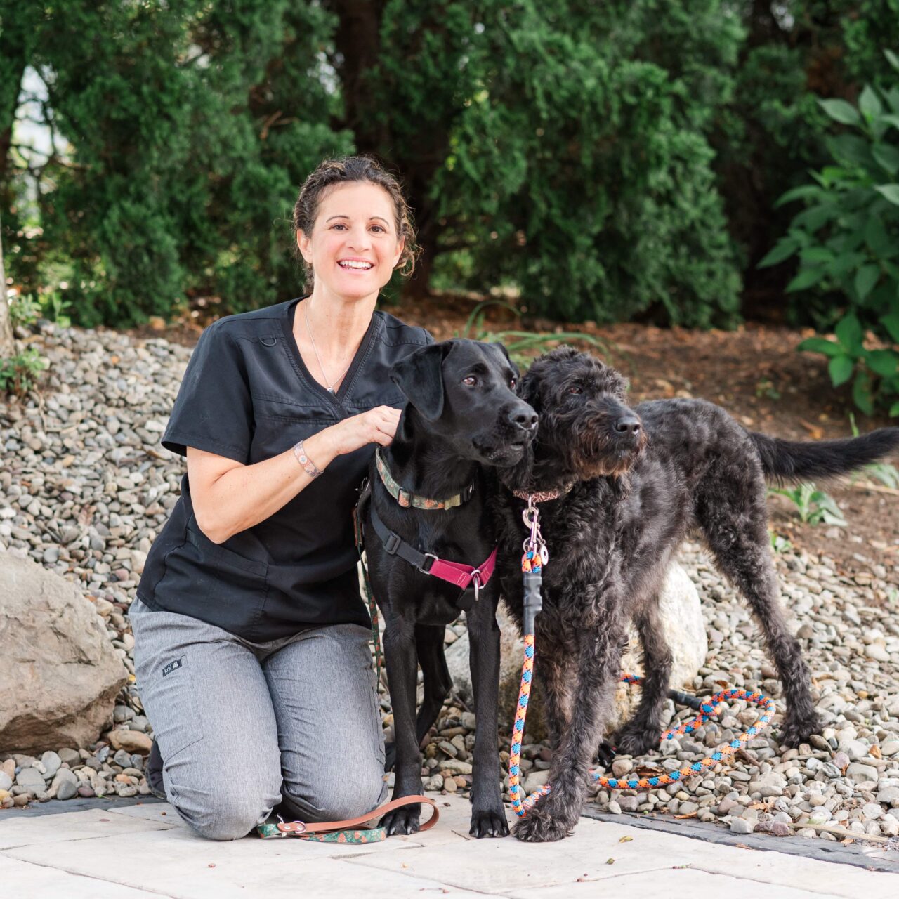 Veterinarian Hershey, PA | Animal Health Care Center Hershey