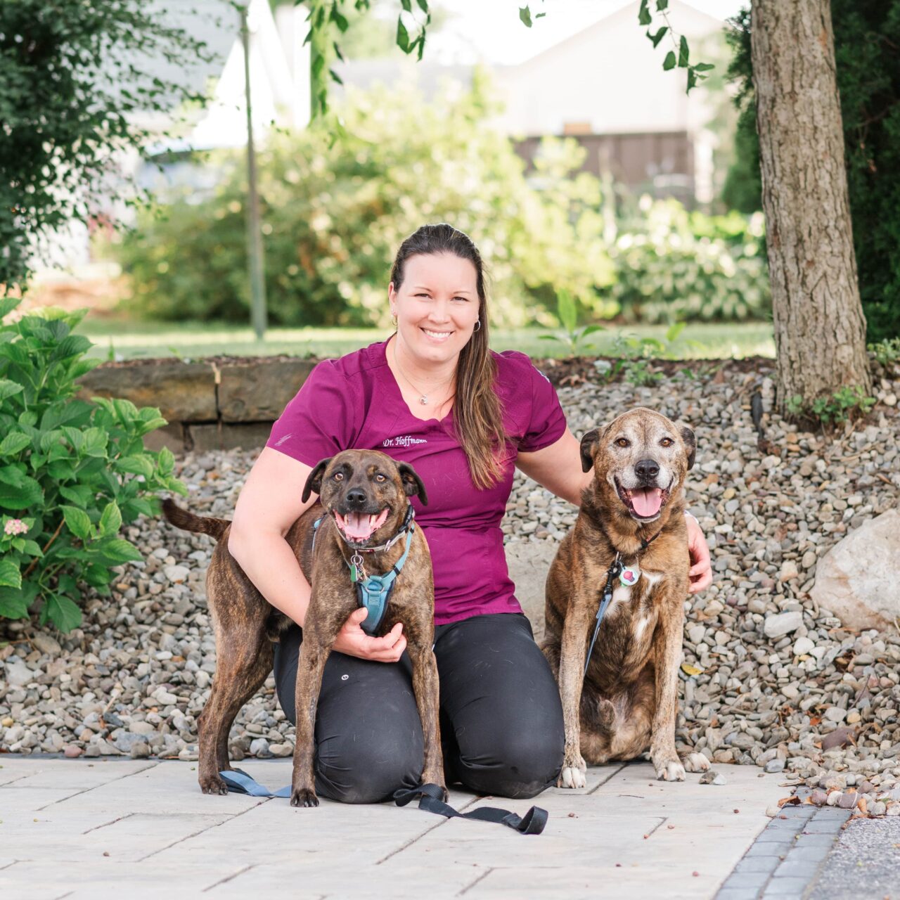 Veterinarian Hershey, PA | Animal Health Care Center Hershey