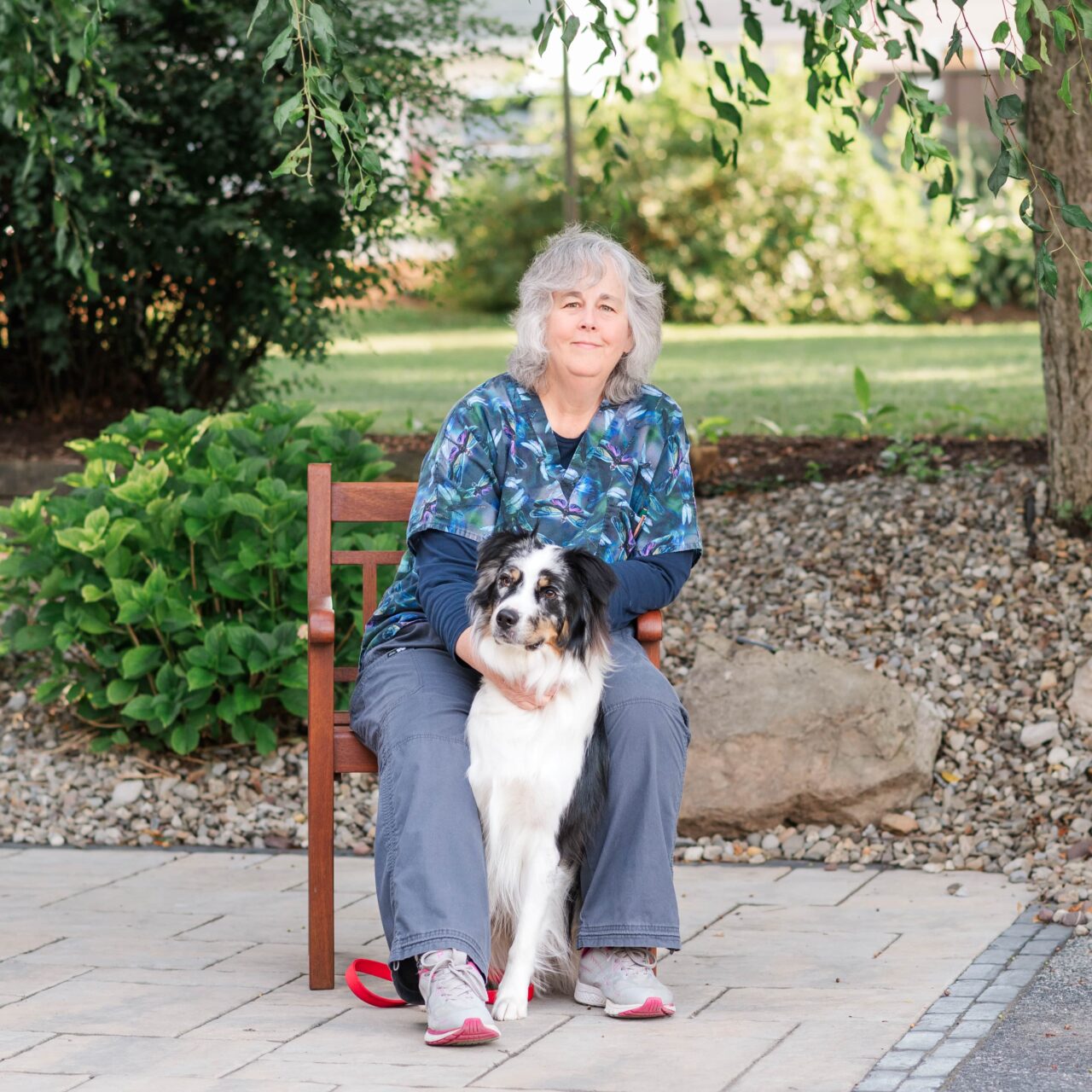 Veterinarian Hershey, PA | Animal Health Care Center Hershey